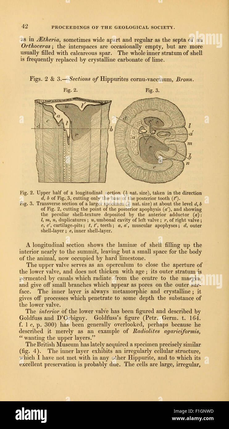 A scientific periodical that covers a wide range of topics in geology ...