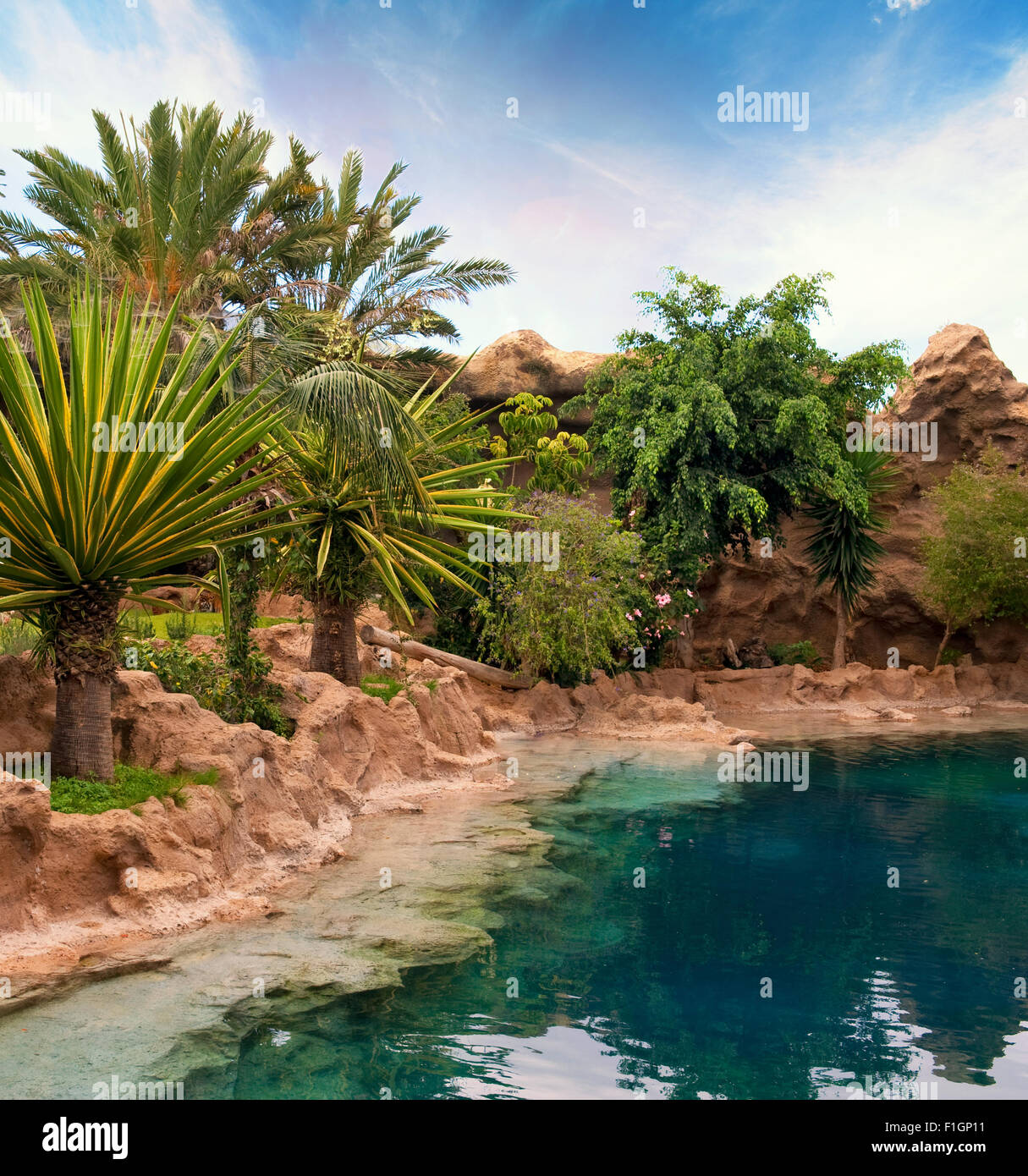 Picture of a tropical background Stock Photo - Alamy