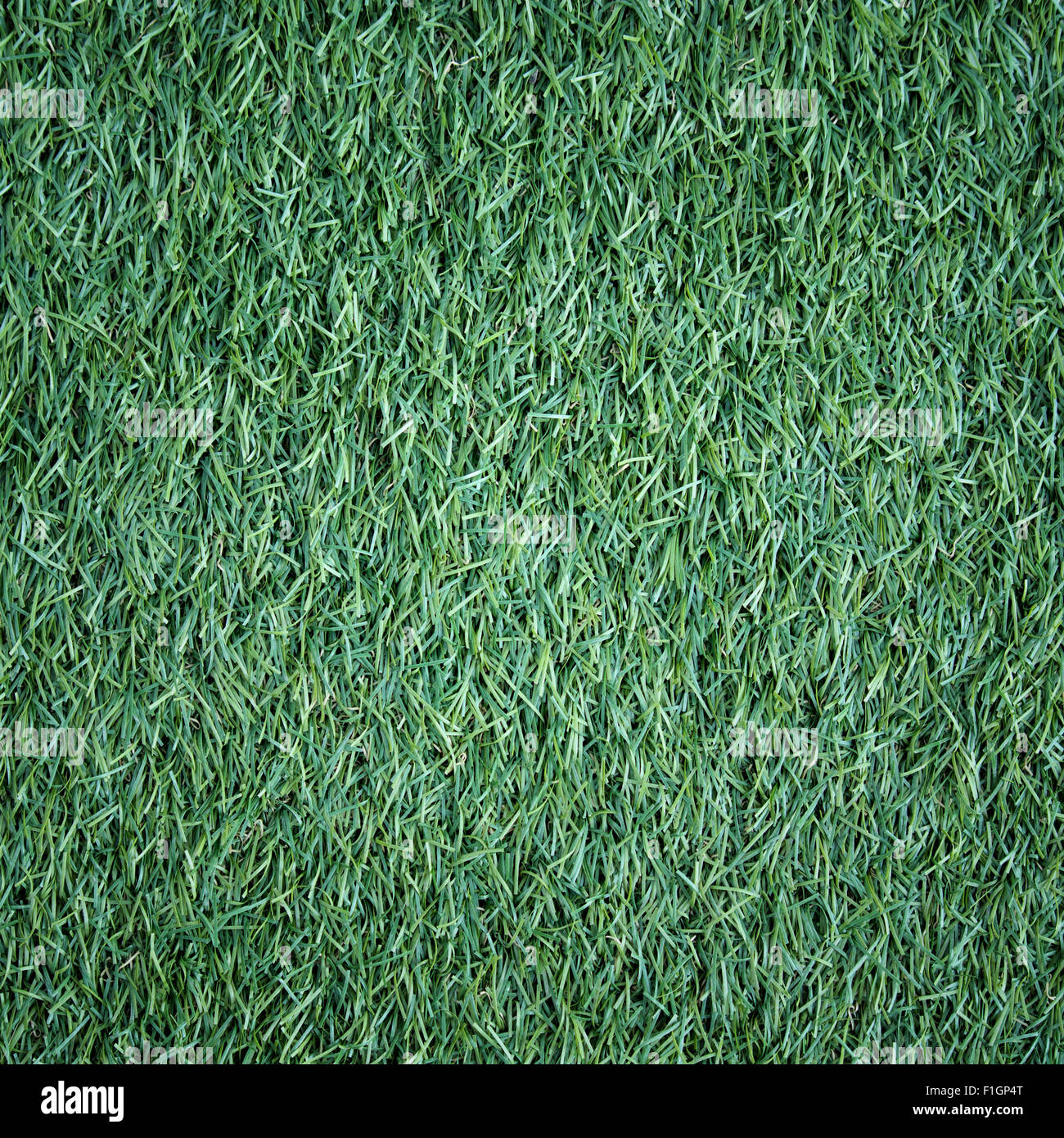 Green grass background Stock Photo - Alamy