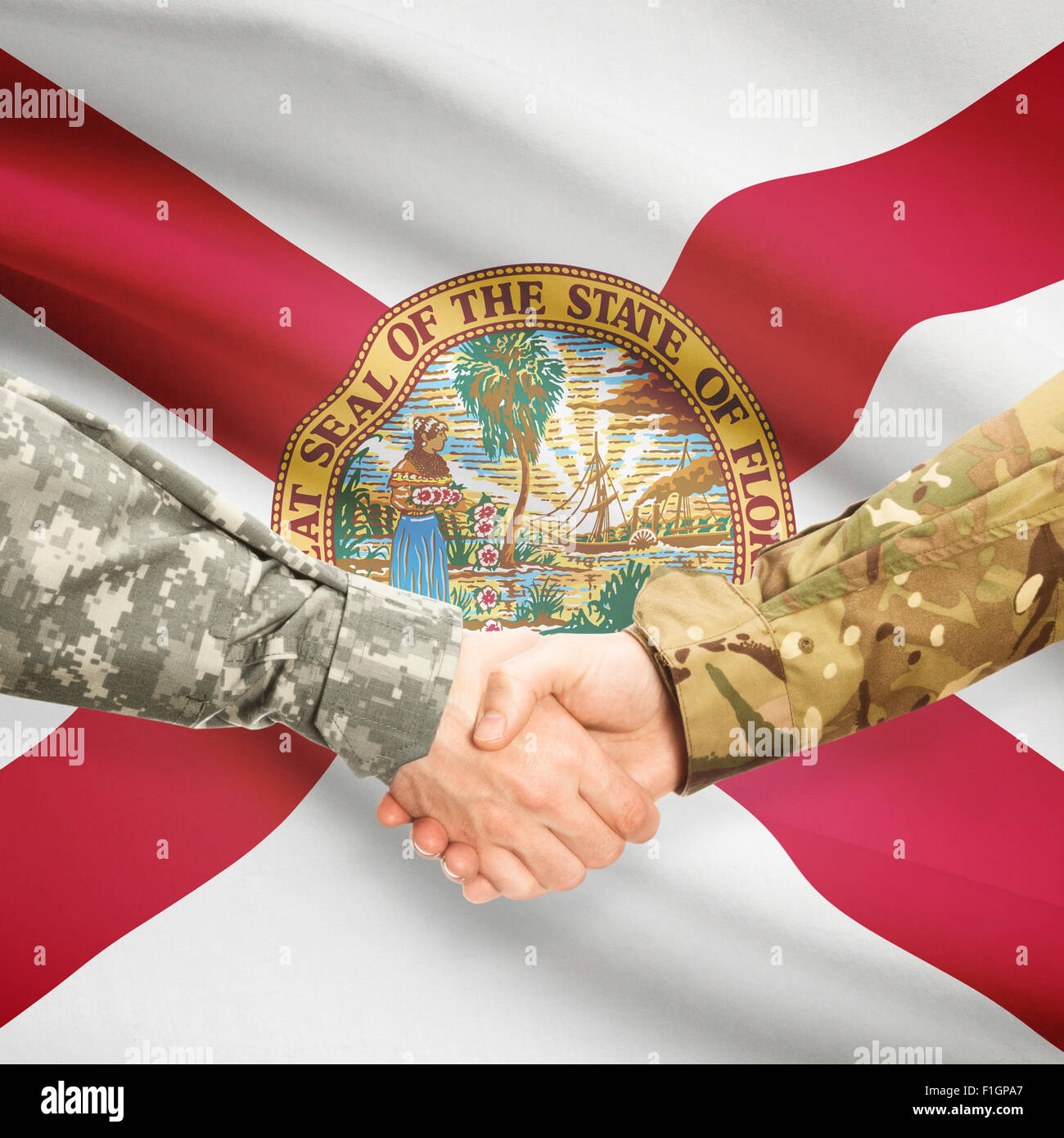 Soldiers handshake and US state flag - Florida Stock Photo - Alamy