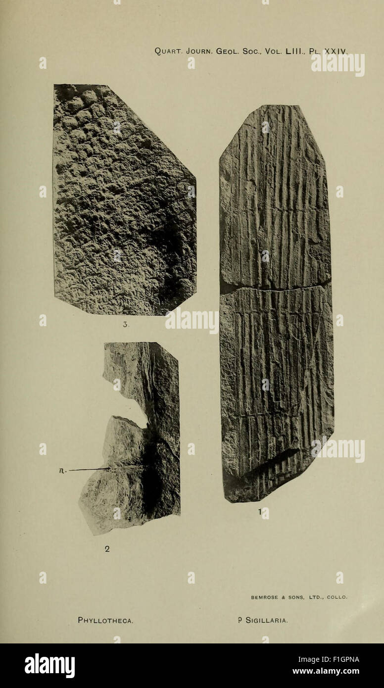 A geological journal documenting research and discoveries in geology ...