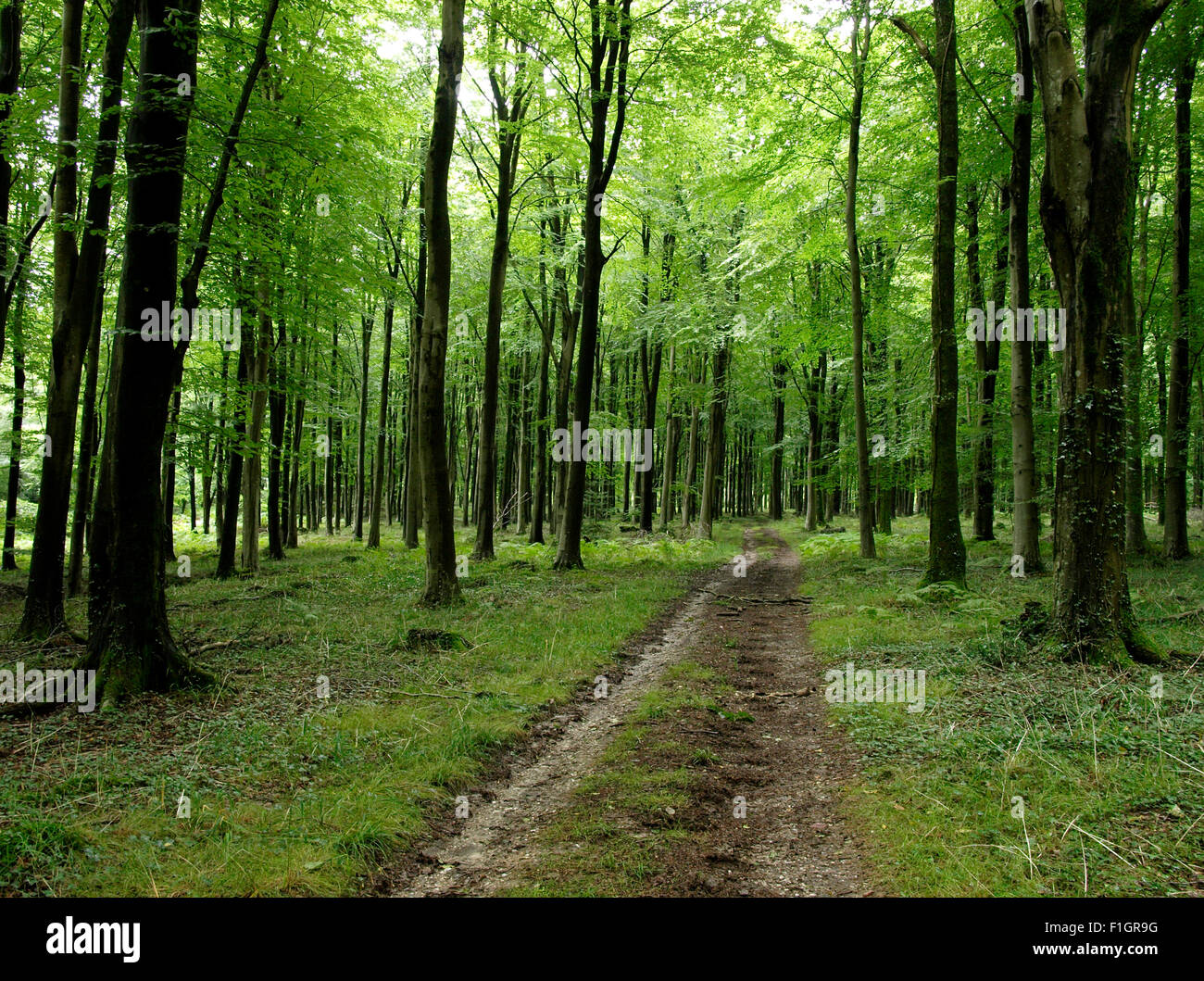 Milton park hi-res stock photography and images - Alamy