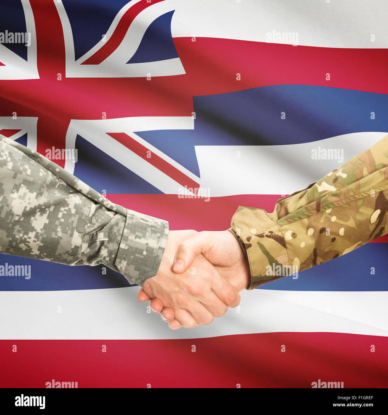 Soldiers handshake and US state flag - Hawaii Stock Photo - Alamy