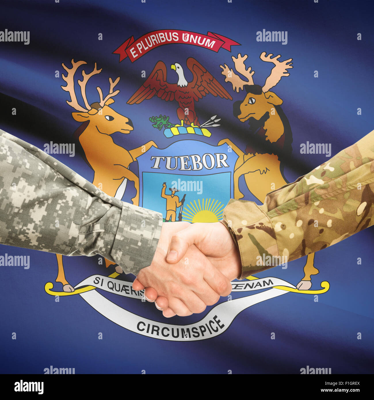 Michigan army national guard soldier hi-res stock photography and ...