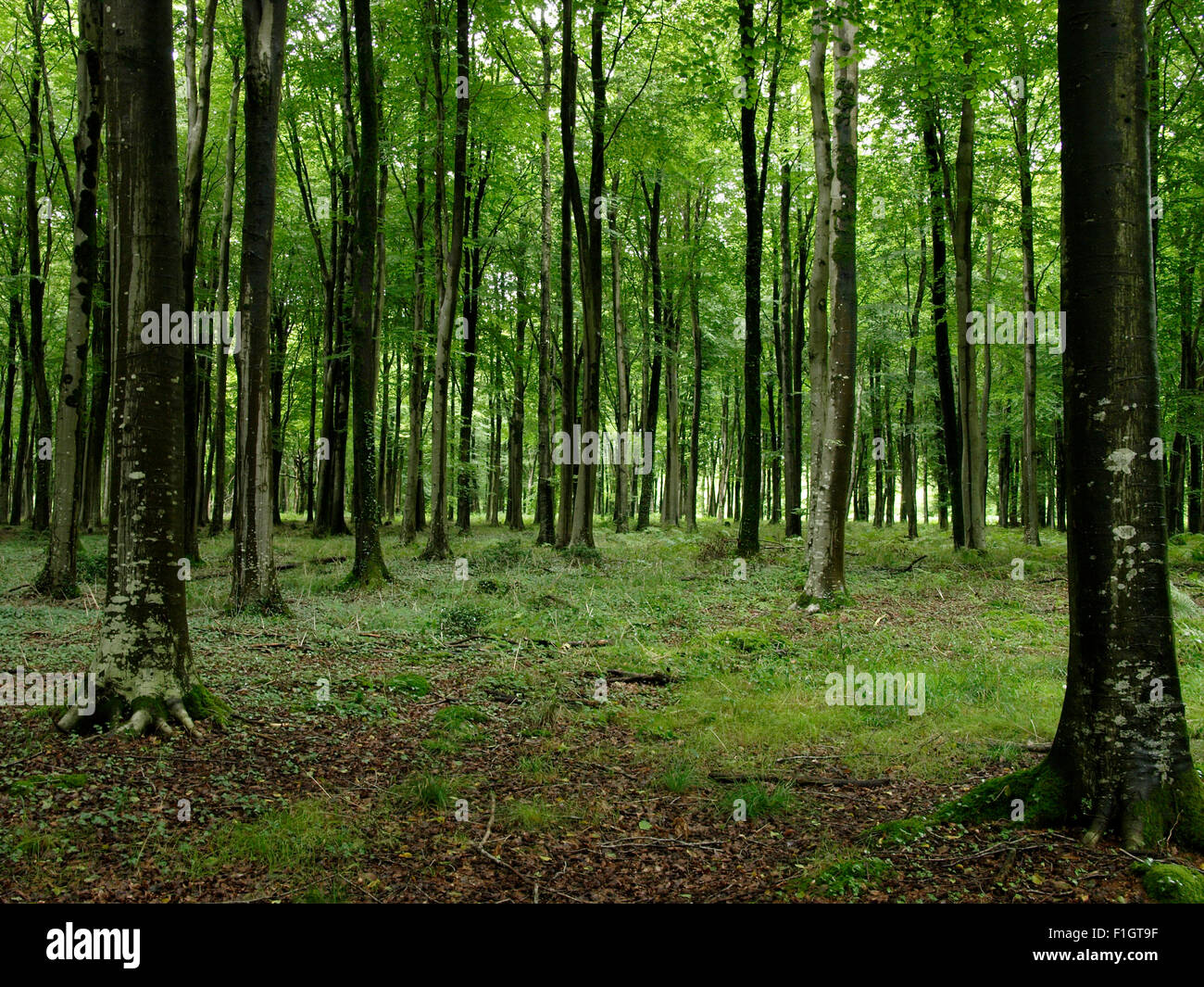 Milton park hi-res stock photography and images - Alamy