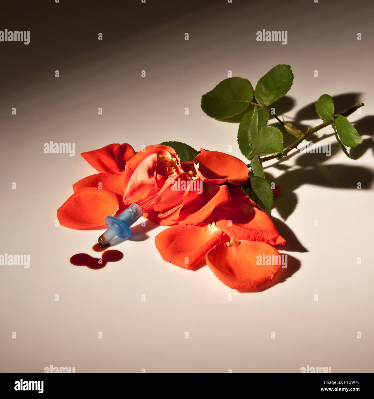 Red Rose and a bleeding catheter Stock Photo - Alamy