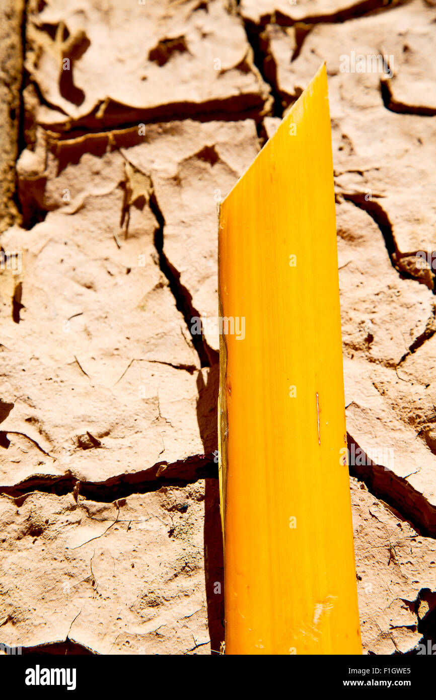 cracked sand in morocco africa desert abstract macro bark Stock Photo ...