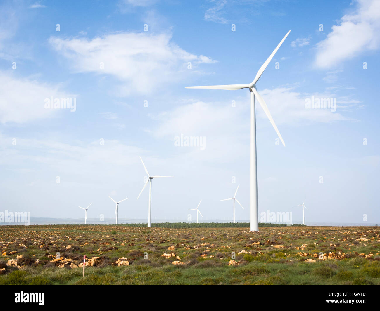 Power generating windmills hi-res stock photography and images - Alamy