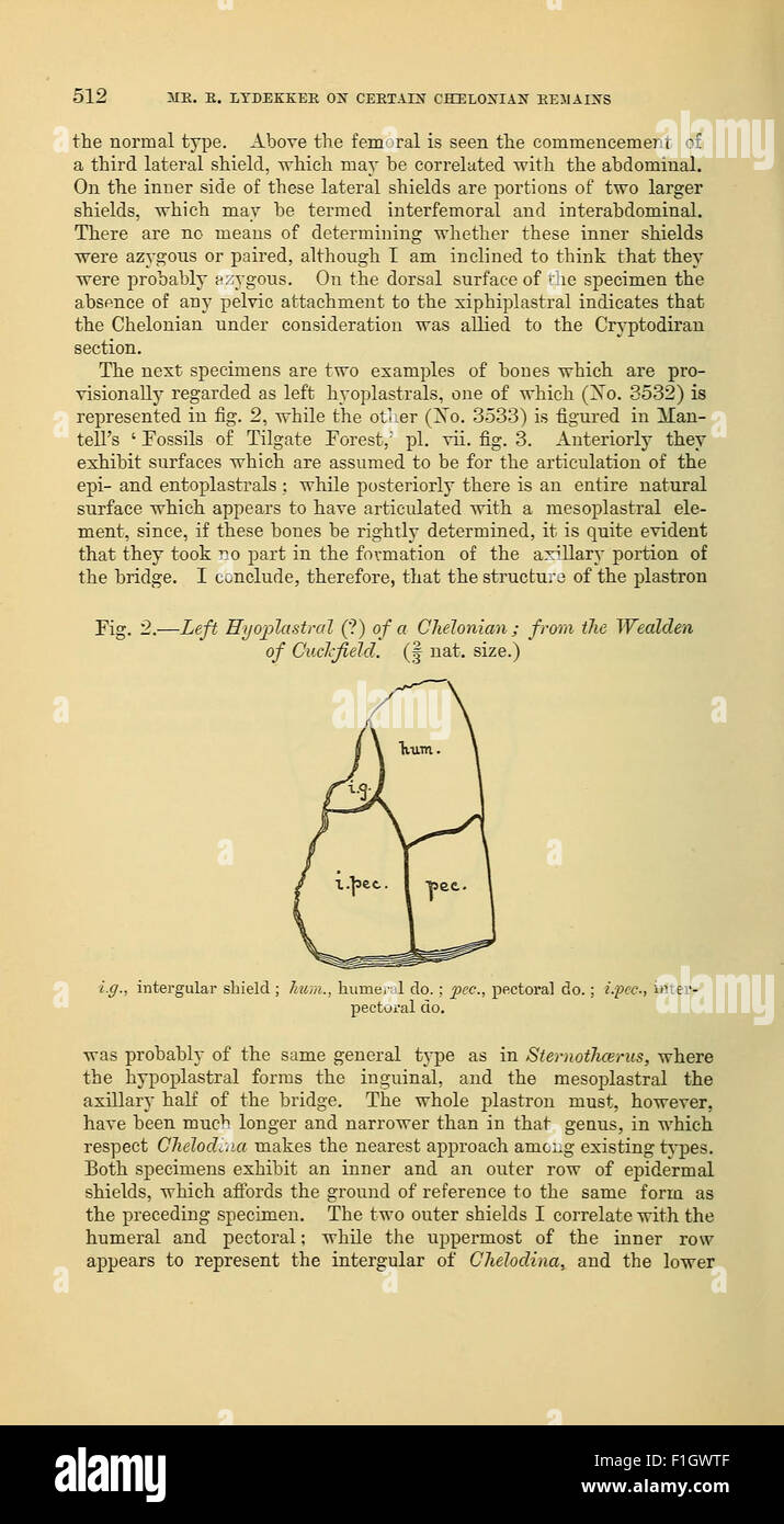 A geological journal publishing research on Earth's structure, minerals ...