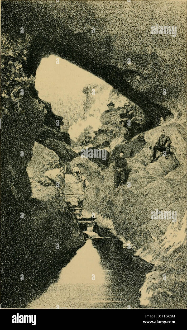 This comprehensive work describes Arizona's natural resources ...