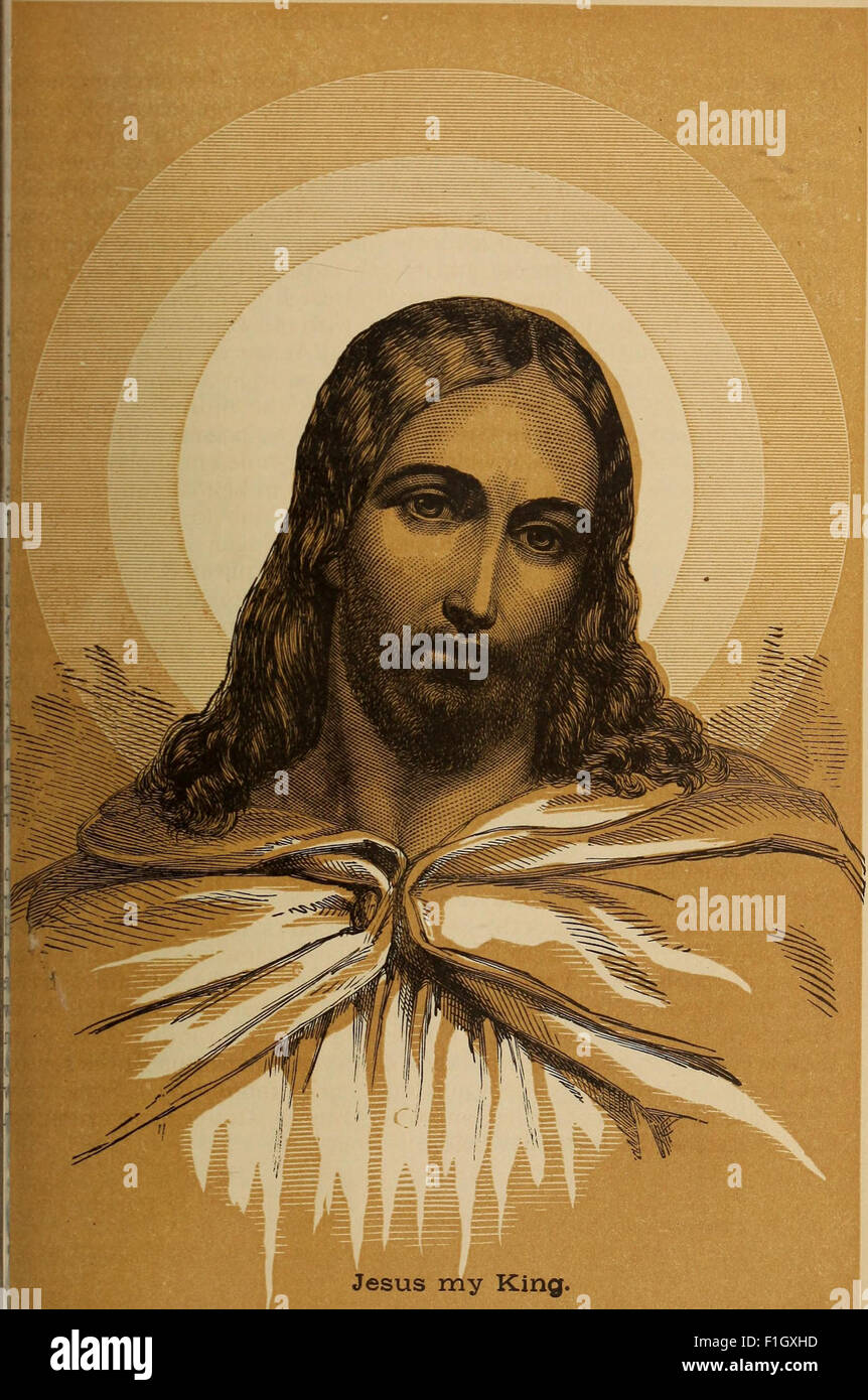 This edition of the New Testament provides a revised version alongside ...