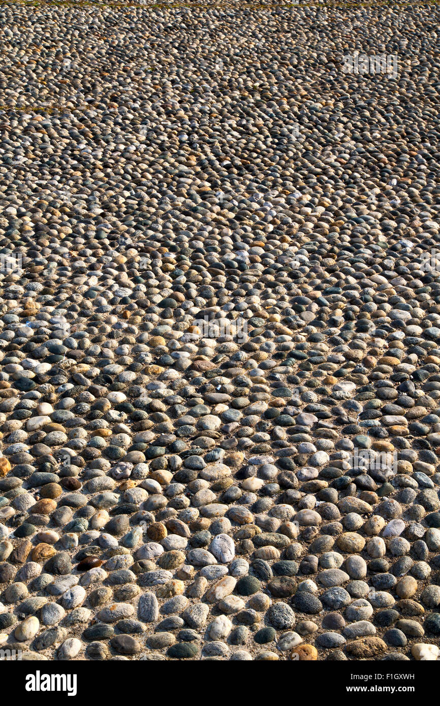 in mozzate street lombardy italy varese abstract pavement of a curch ...