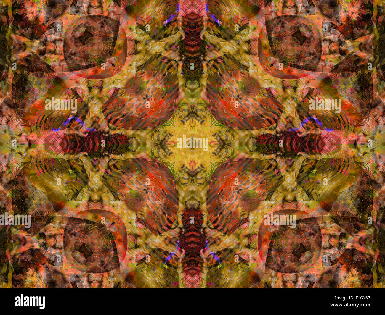 brown color drawing in kaleidoscope pattern - brown color drawing in ...