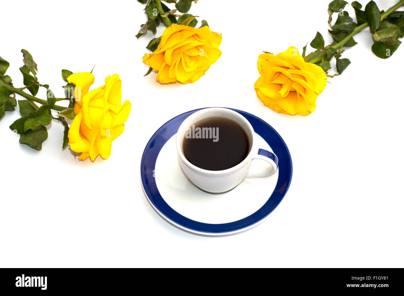 Three round petals hi-res stock photography and images - Alamy