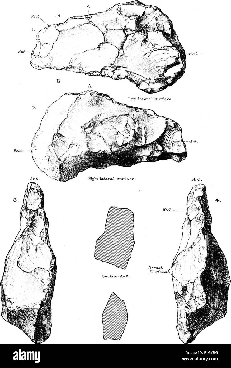 Prehistoric tools from stone age Black and White Stock Photos & Images ...