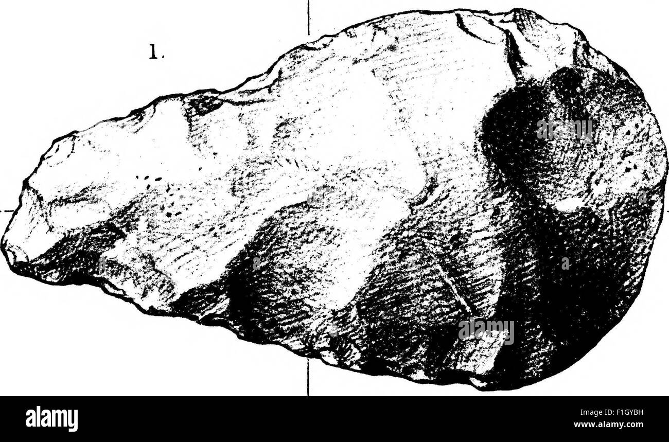 An illustration from 'The Transition from Rostro-Carinate Flint ...