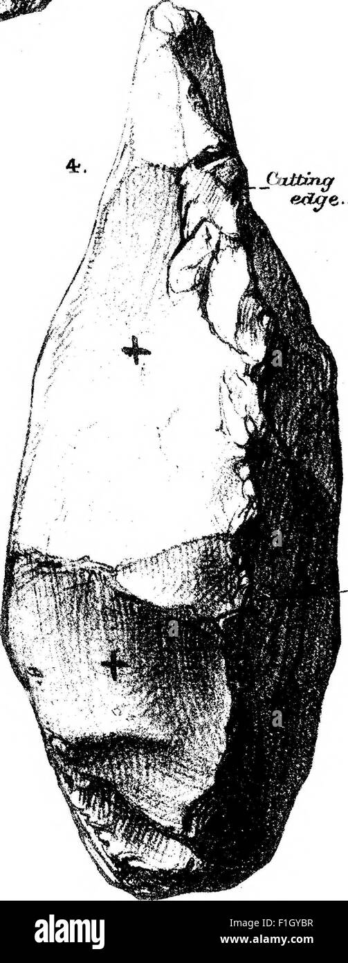 Behavior shift Black and White Stock Photos & Images - Alamy