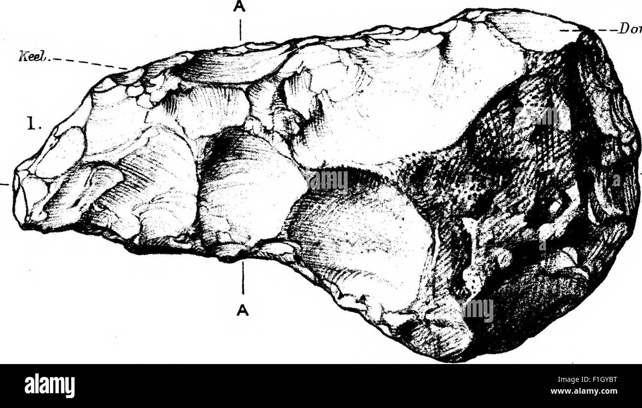 This 1920 study examines the evolution of flint tools from the rostro ...
