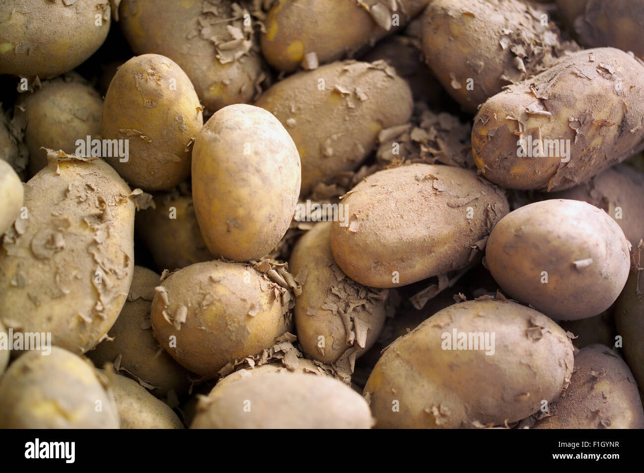 New potato varieties hi-res stock photography and images - Alamy