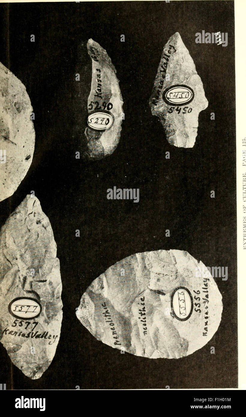 Paleolithic stone tool american hi-res stock photography and images - Alamy