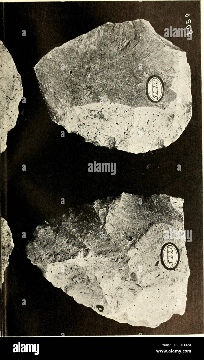 'The Weathering of Aboriginal Stone Artifacts' (1913) examines the ...