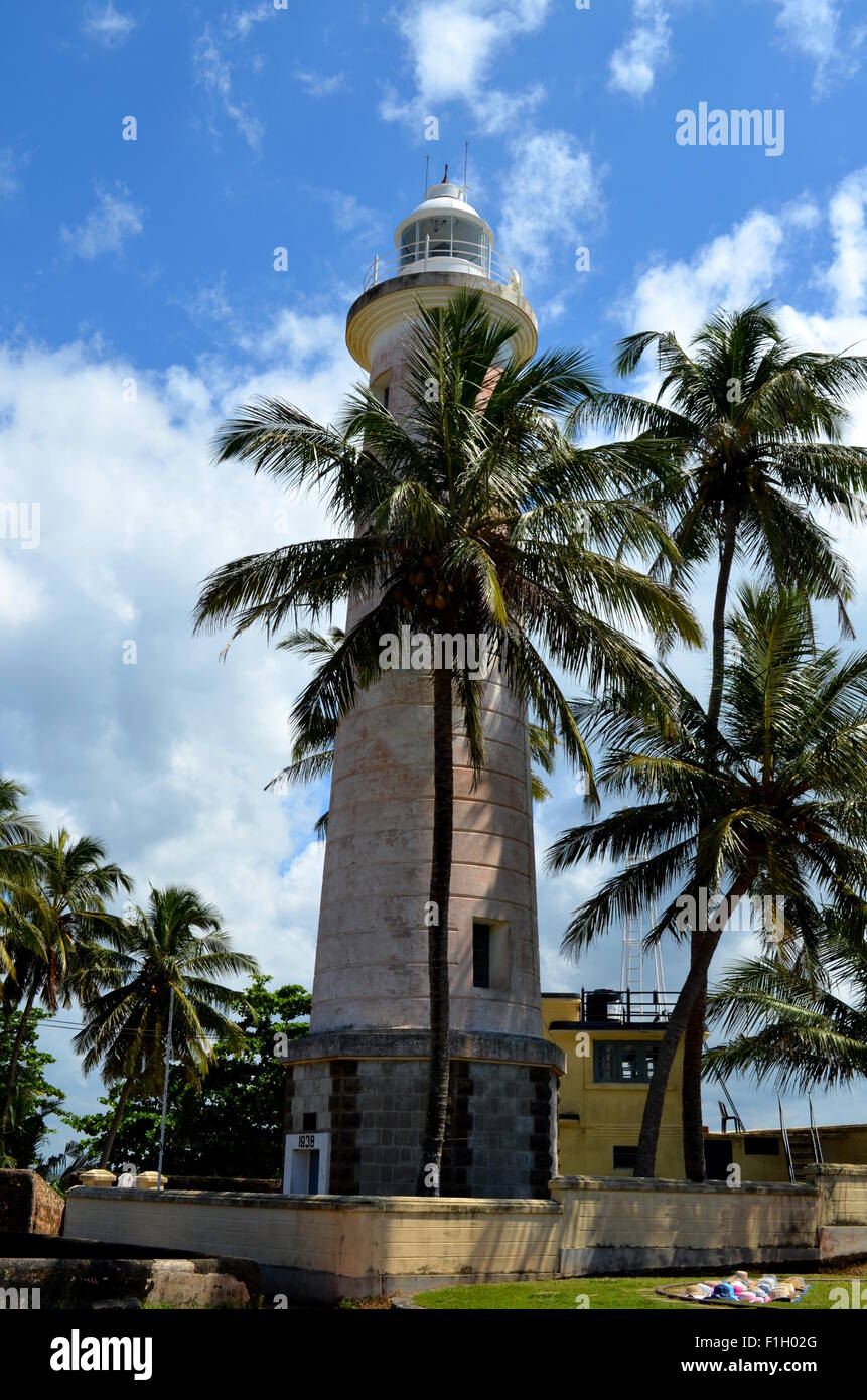 White palm tree hi-res stock photography and images - Alamy