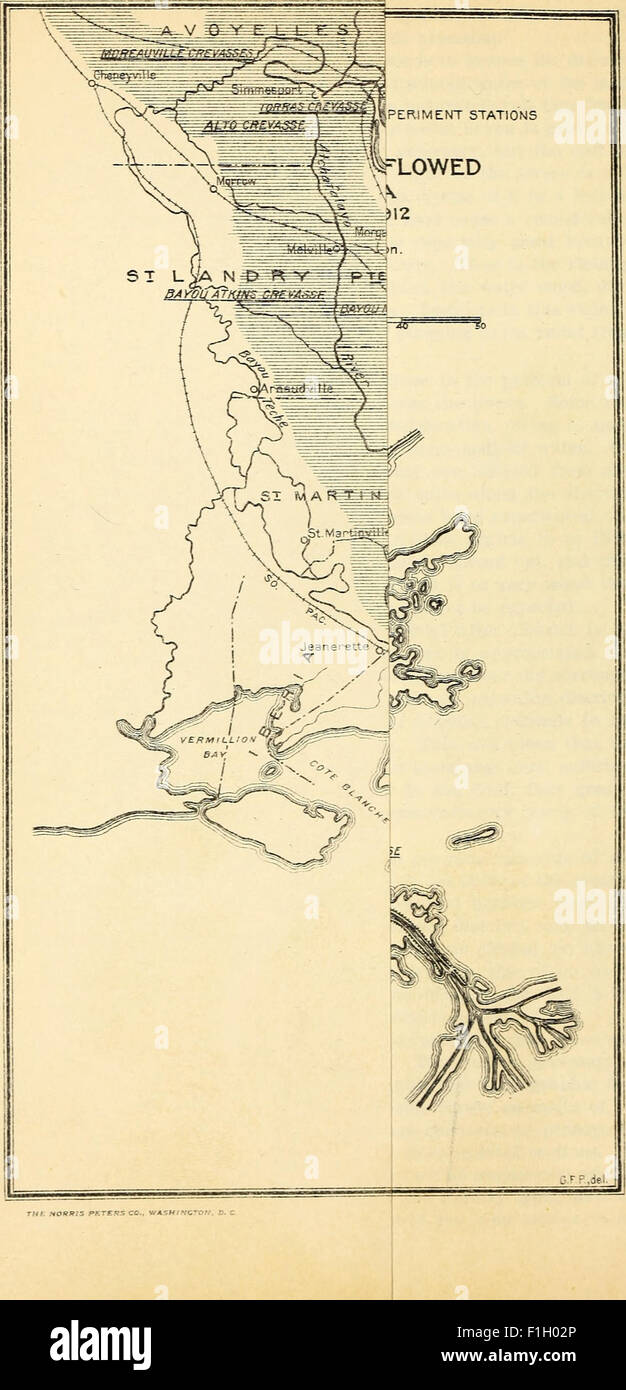 This 1914 report examines the wetlands of southern Louisiana, focusing ...