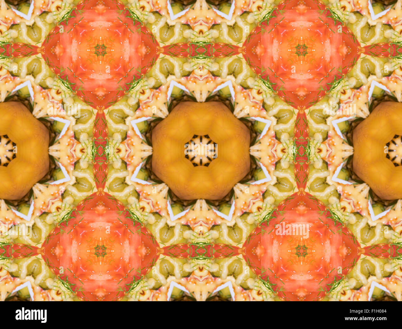 orange color drawing in kaleidoscope pattern - orange color drawing in ...