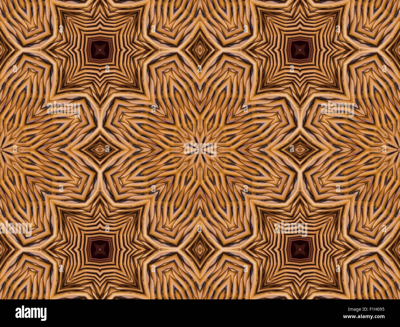 brown color drawing in kaleidoscope pattern - brown color drawing in ...