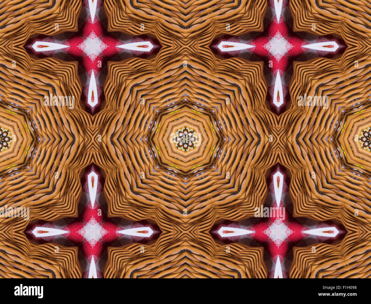 brown color drawing in kaleidoscope pattern - brown color drawing in ...