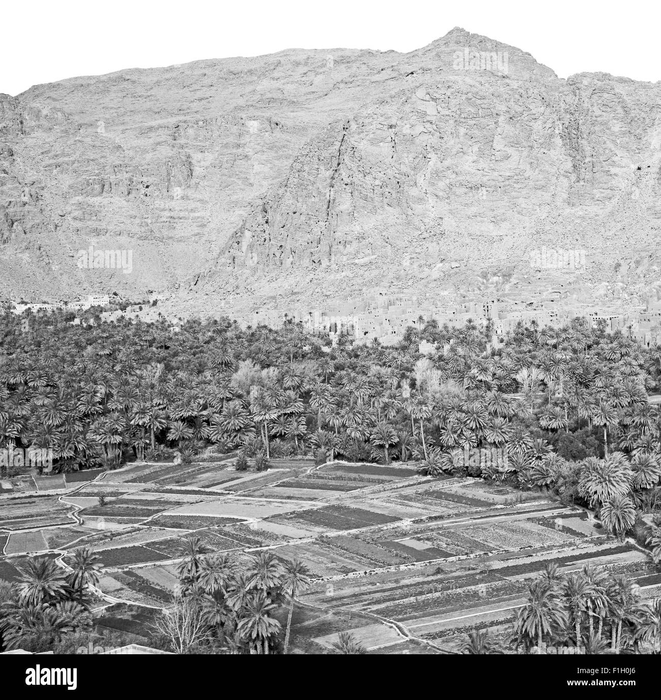 Village grove Black and White Stock Photos & Images - Alamy