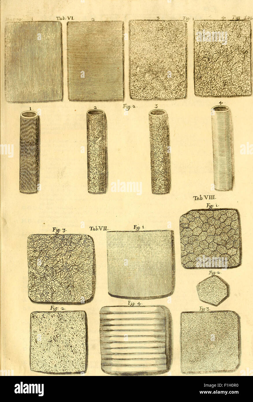 'Thomae Willis Opera Omnia' (1694) is the complete works of Thomas Willis, a pioneering figure ...