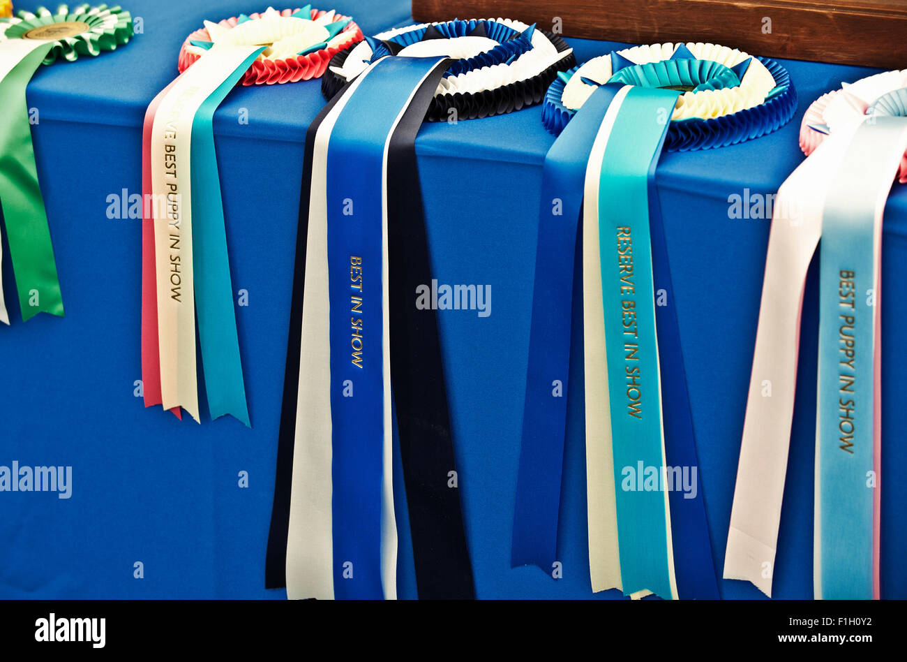 Best In Show Ribbon