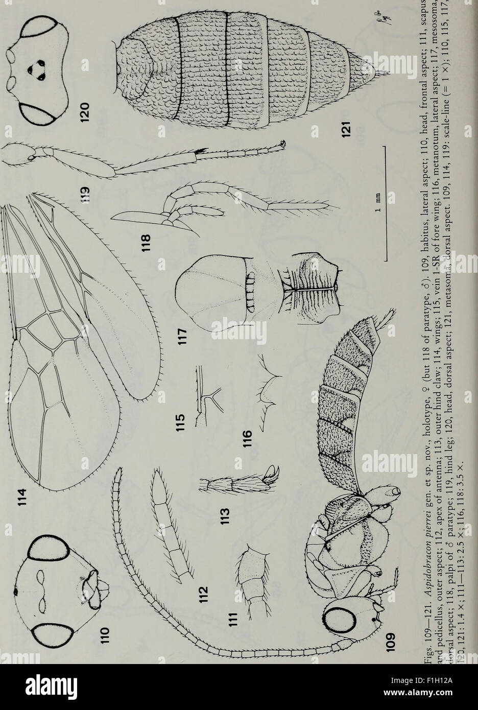 'Tijdschrift voor Entomologie' (Journal of Entomology) 1984 is a ...