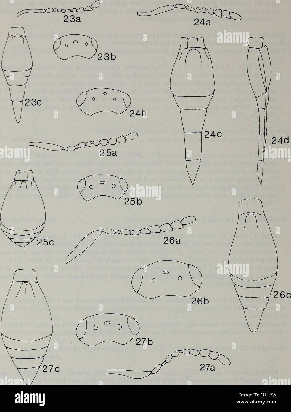 A scientific journal focused on entomology, featuring research articles ...