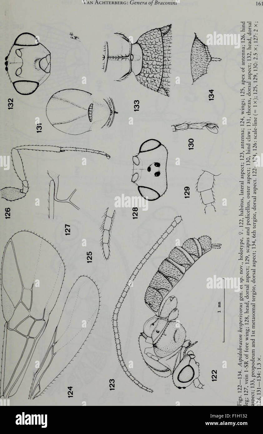 The 'Tijdschrift voor Entomologie' (1984) is a scientific journal ...