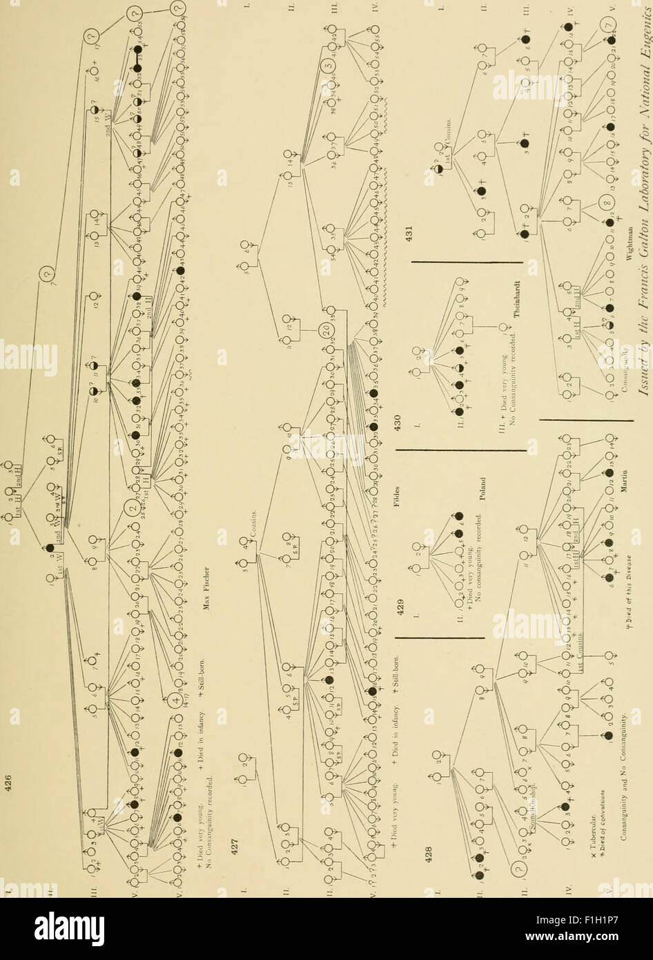 Hereditary patterns hi-res stock photography and images - Alamy