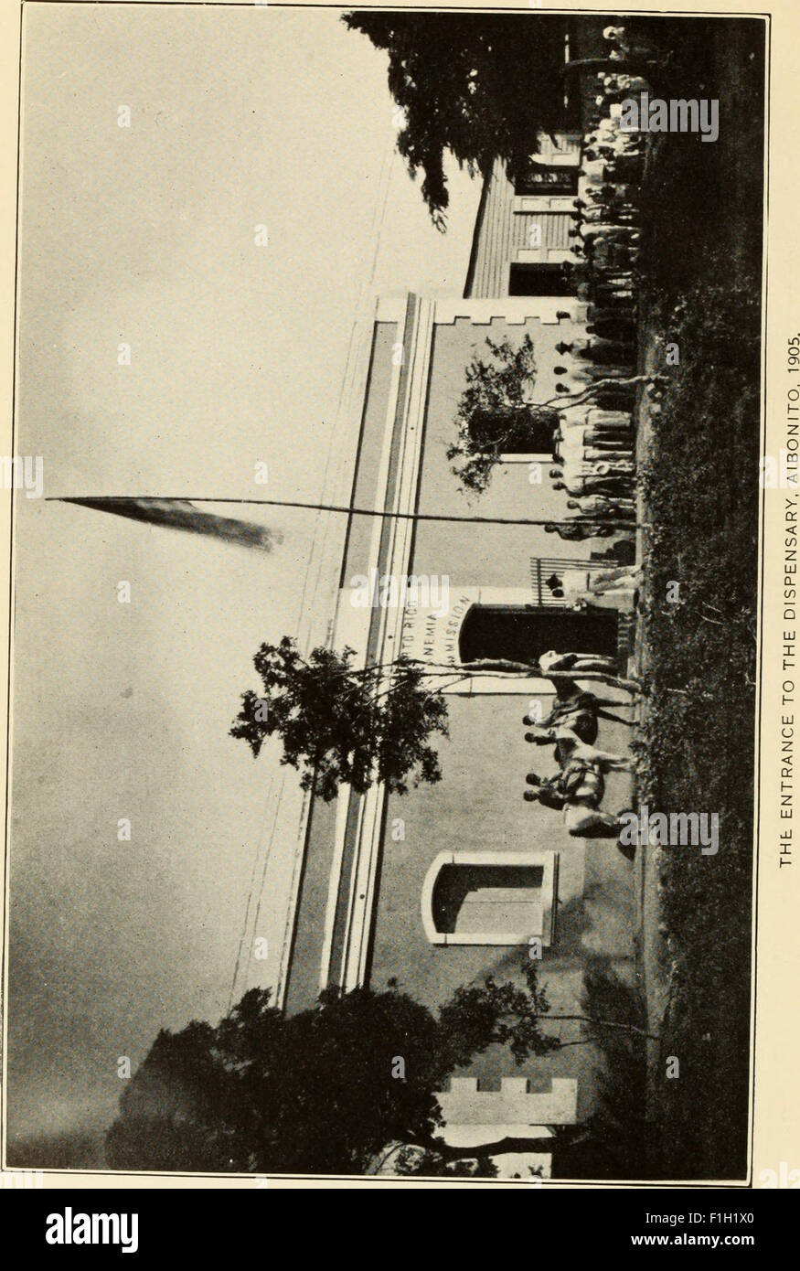 Uncinariasis (Hookworm disease) in Porto Rico - a medical and economic ...