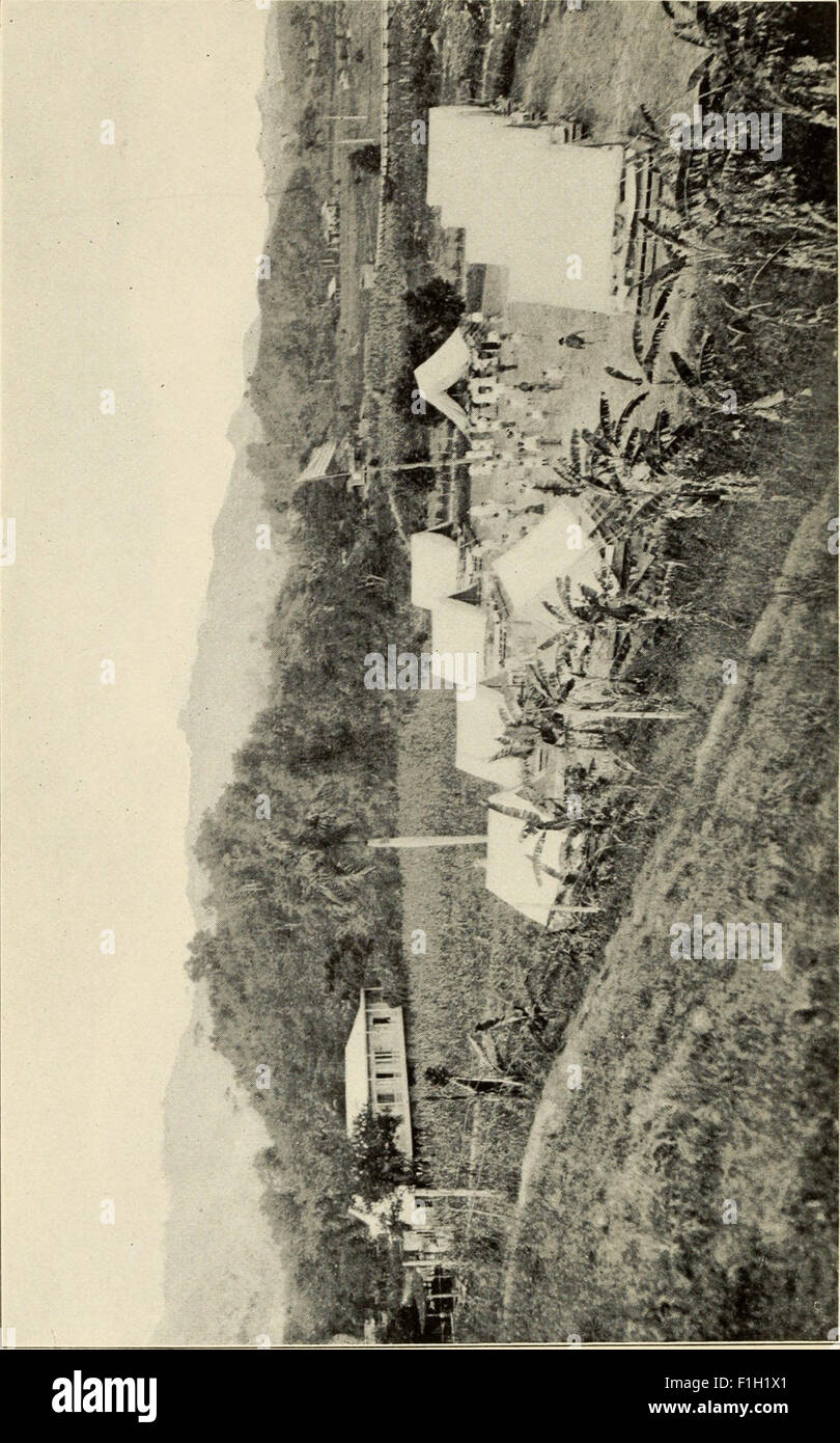 Uncinariasis (Hookworm disease) in Porto Rico - a medical and economic ...