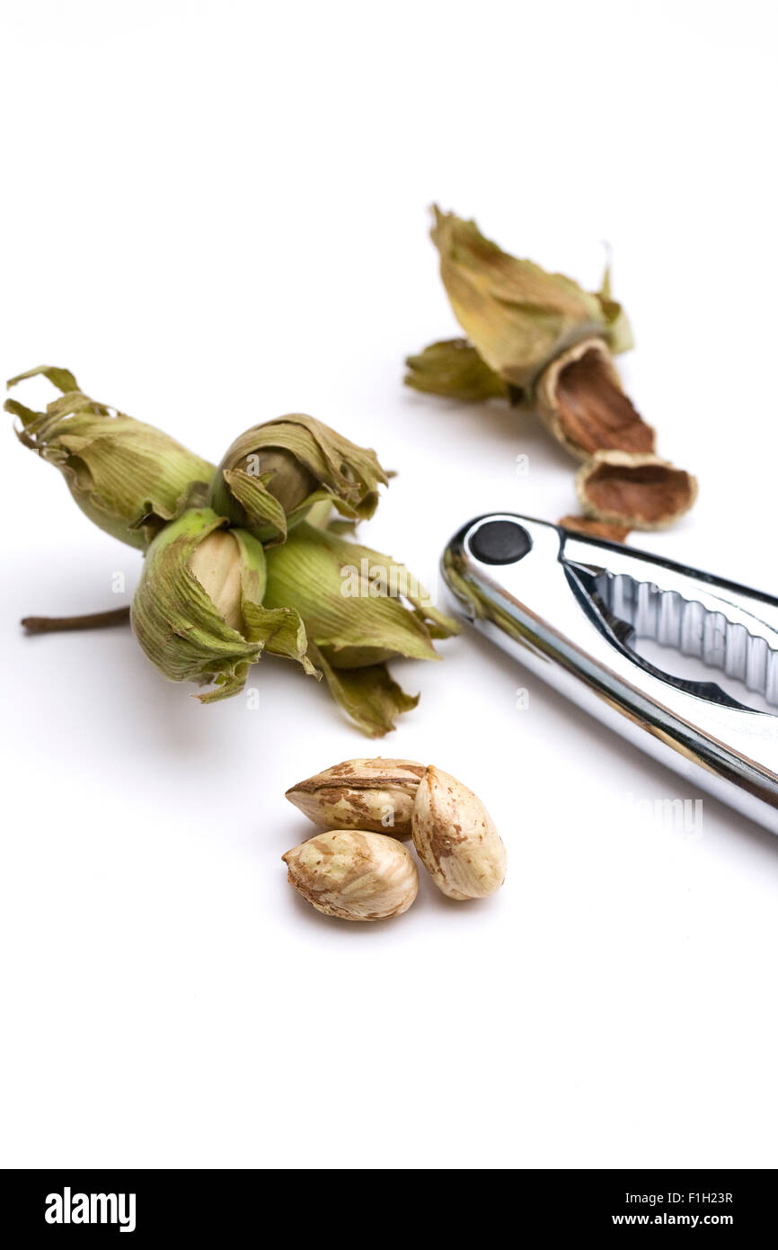 Cobnut hi-res stock photography and images - Alamy