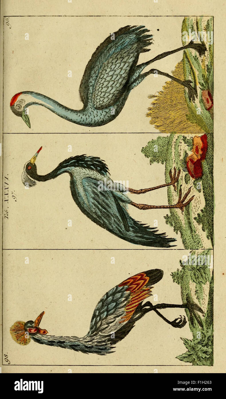 'Unterhaltungen aus der Naturgeschichte' (Conversations from Natural ...