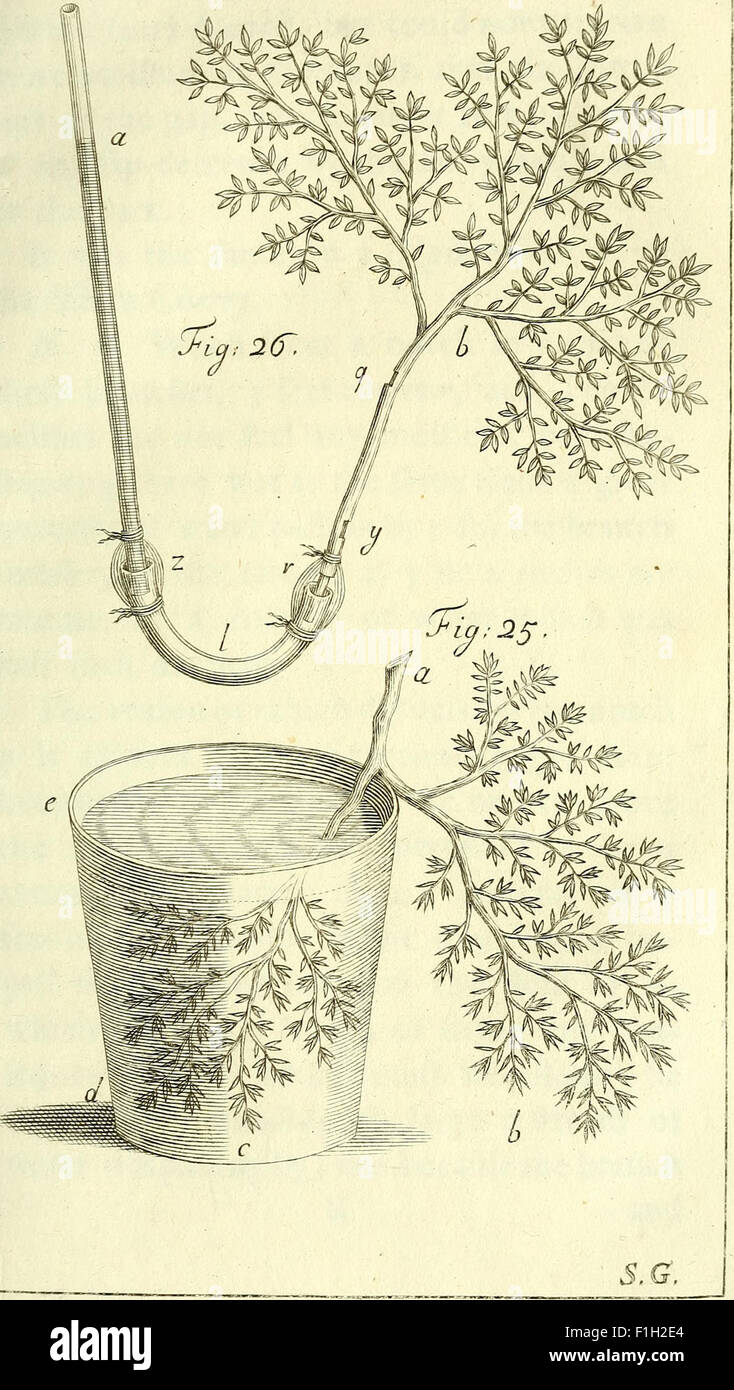 'Vegetable Staticks' is a pioneering work by Stephen Hales, exploring ...