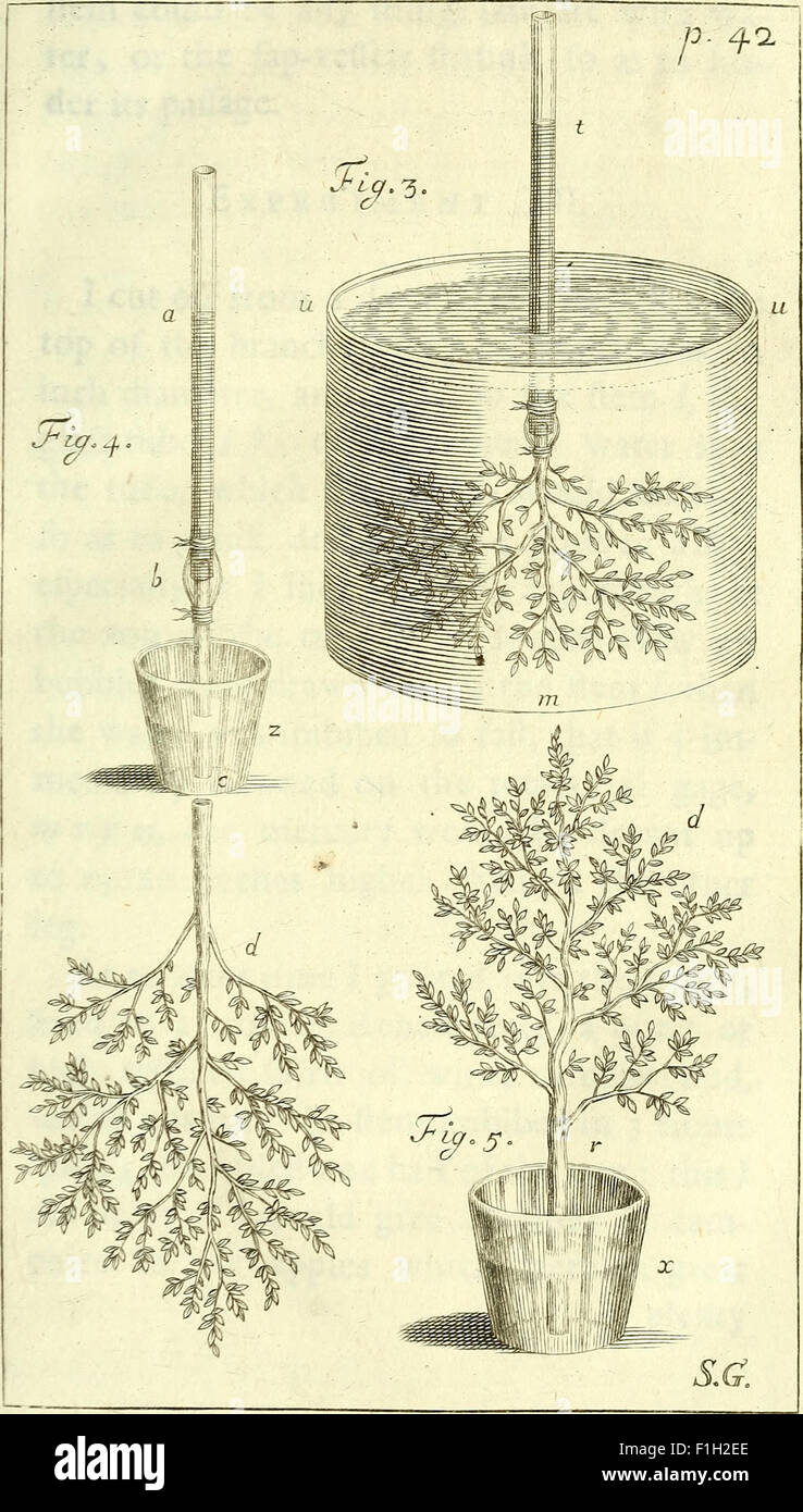 This 18th-century work focuses on experiments conducted to understand ...