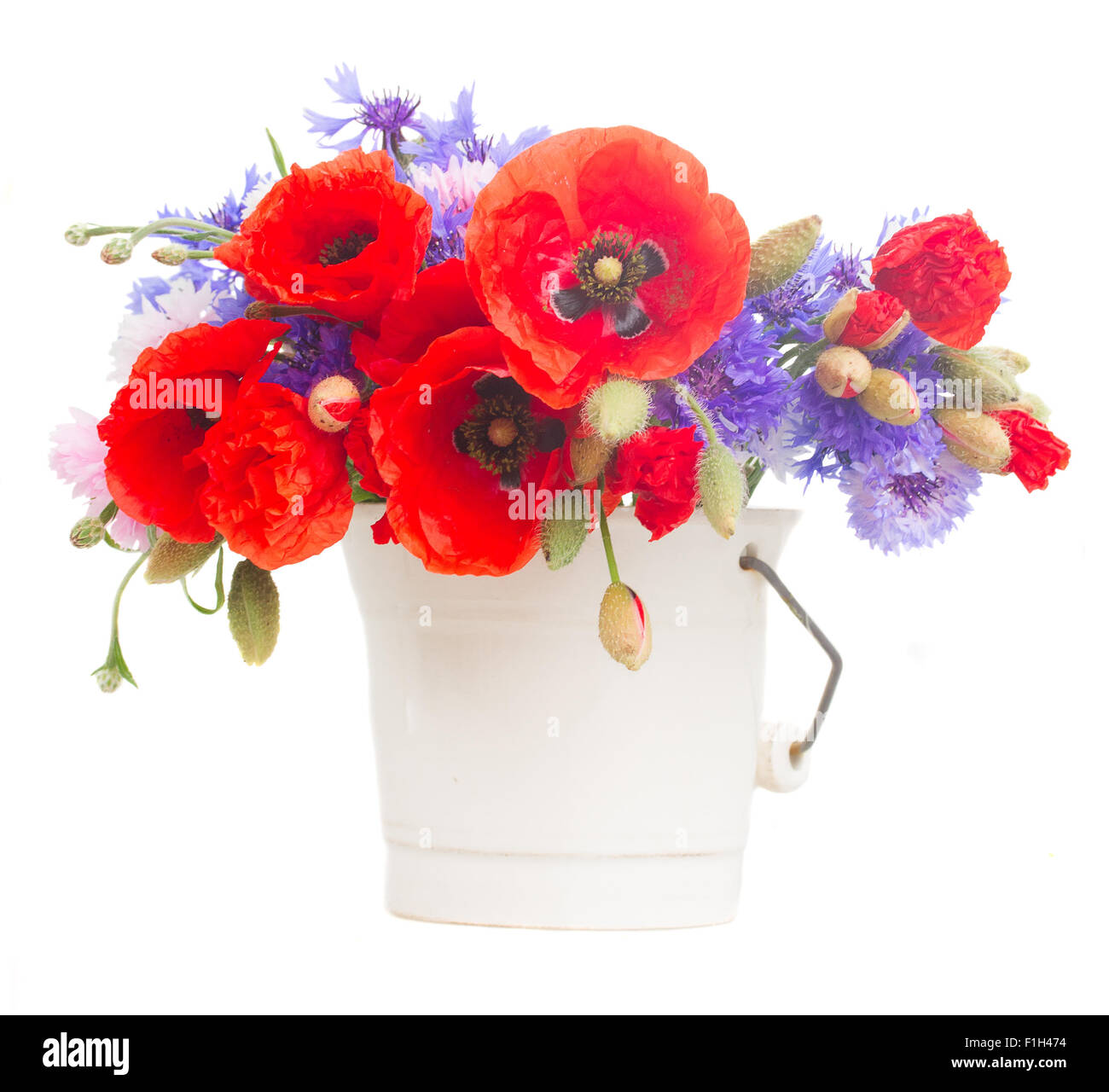 Bright pink poppy Cut Out Stock Images & Pictures - Alamy