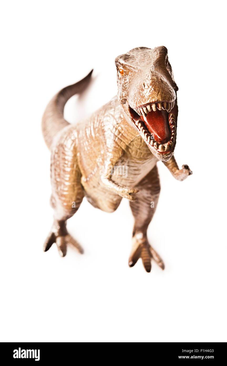 toy plastic replica of a Tyrannosaurus Rex isolated Stock Photo - Alamy