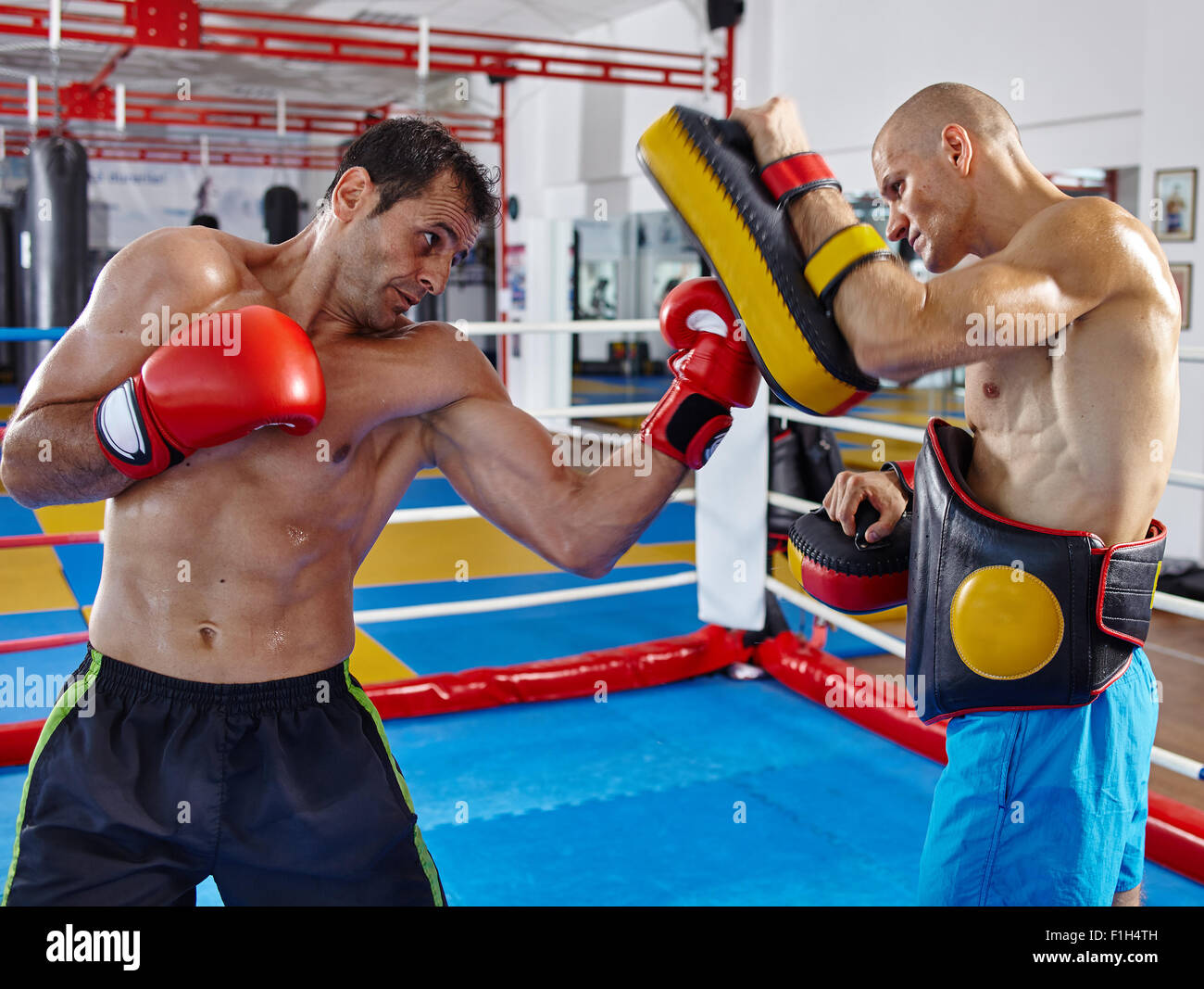 Two muay thai fighters in a sparring match in the ring Stock Photo - Alamy