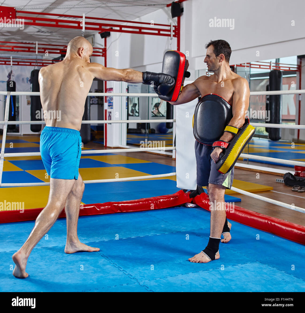 Two muay thai fighters in a sparring match in the ring Stock Photo - Alamy