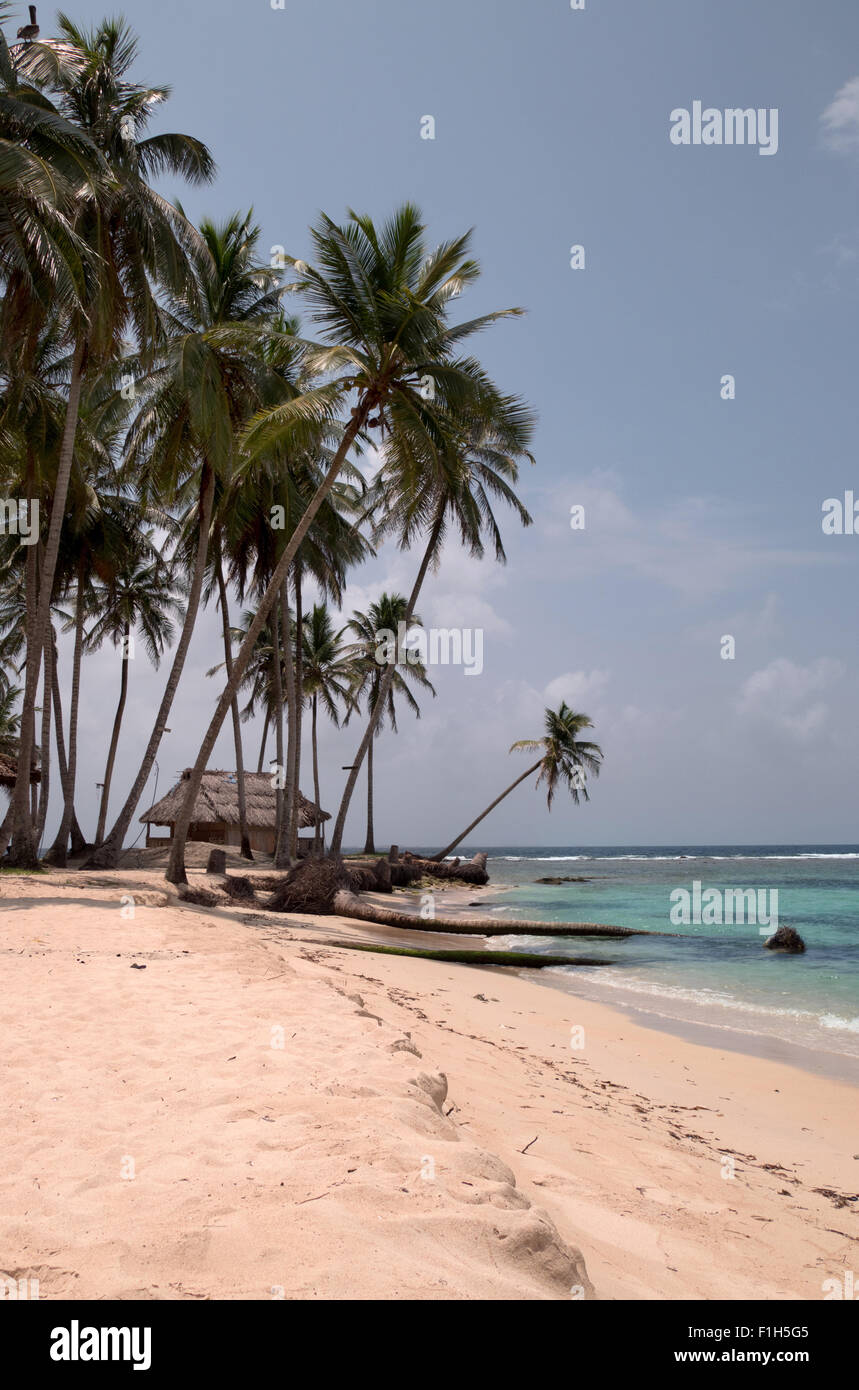 Isla Aguja, archipelago of San Blas islands, Panama. Nature, idyllic ...