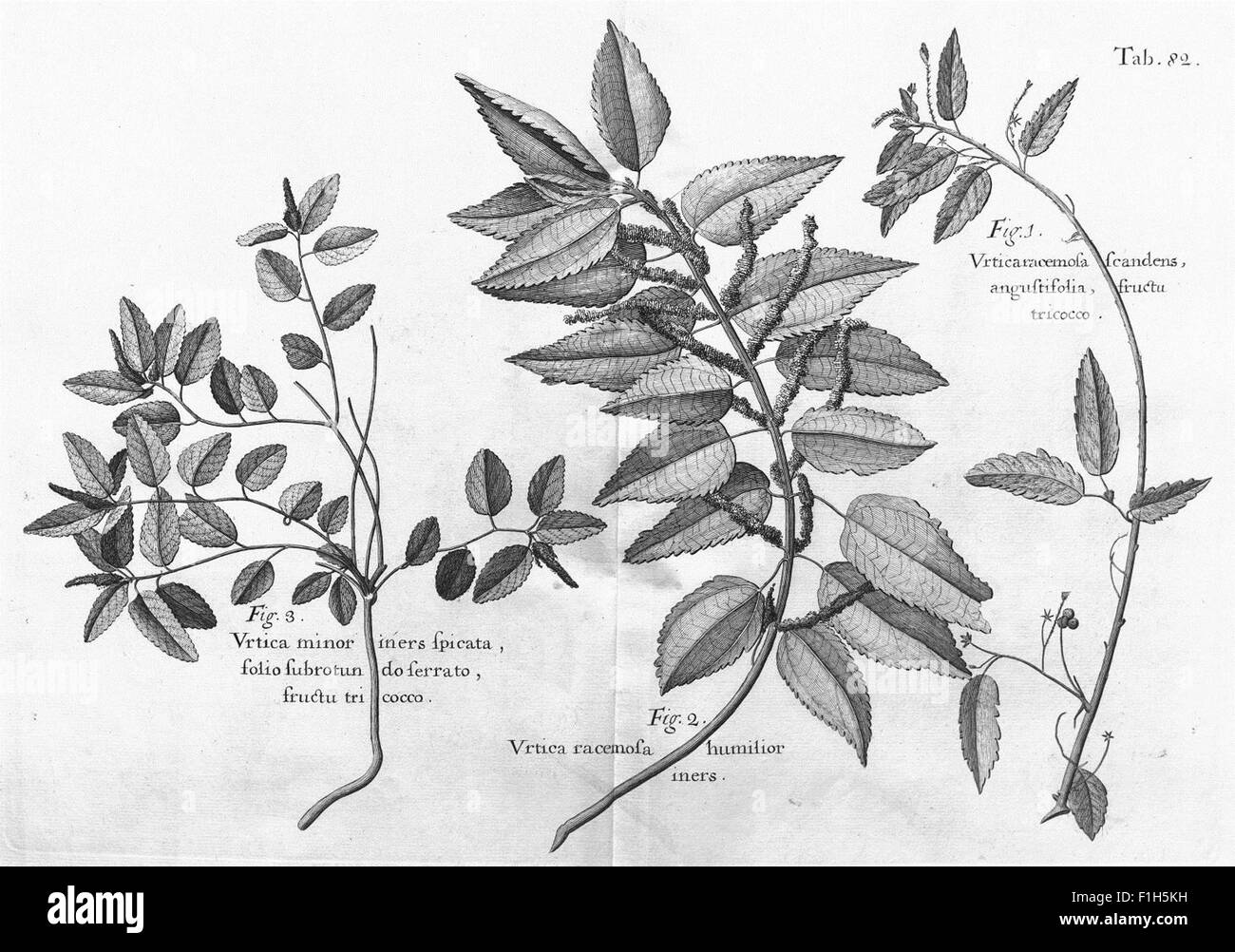 This 1707 travel account provides an early description of various ...