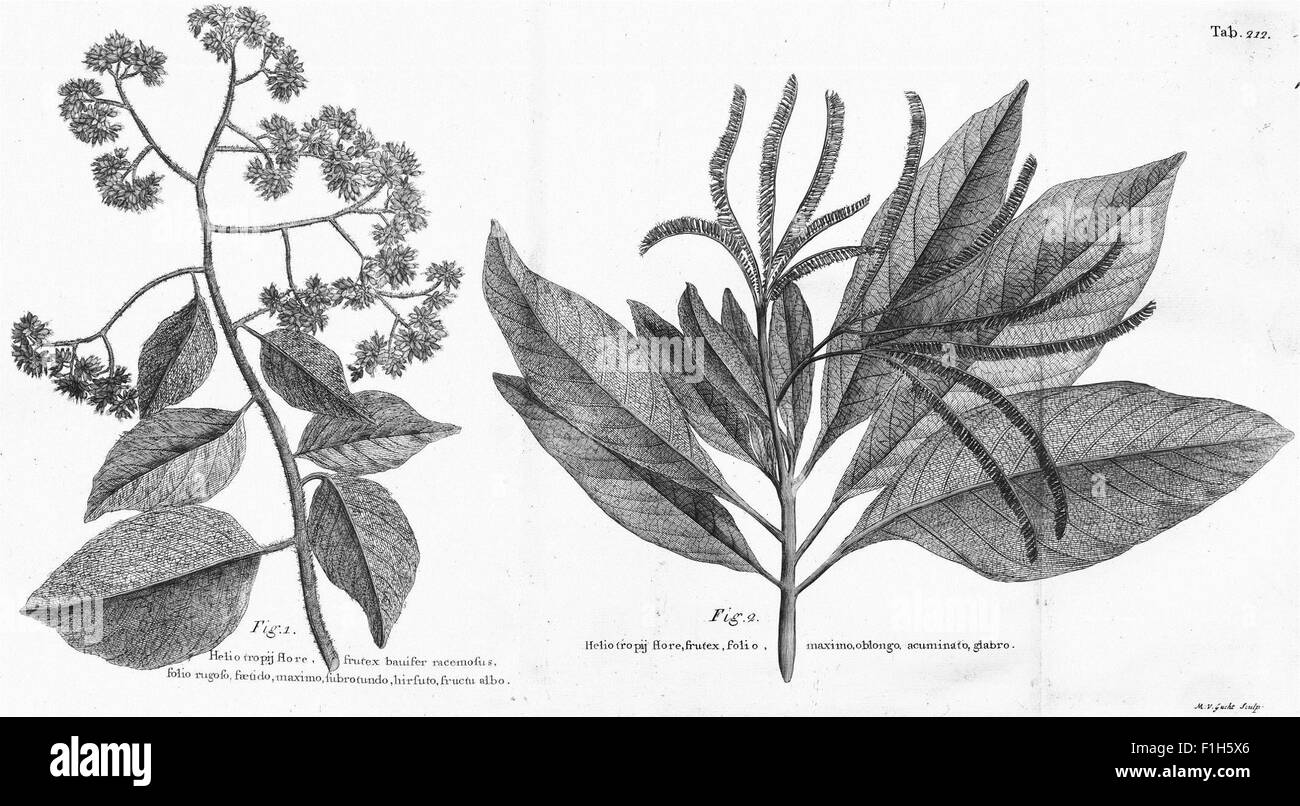 This account details the voyage of an early 18th-century expedition to ...